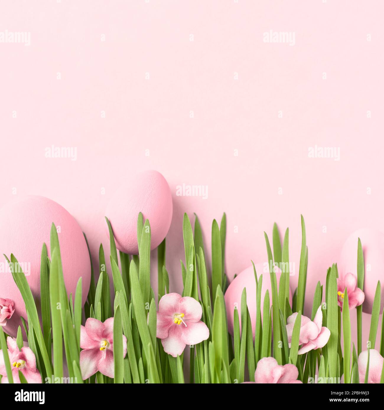 Easter background. Easter eggs in grass with pink flowers. Floral ...