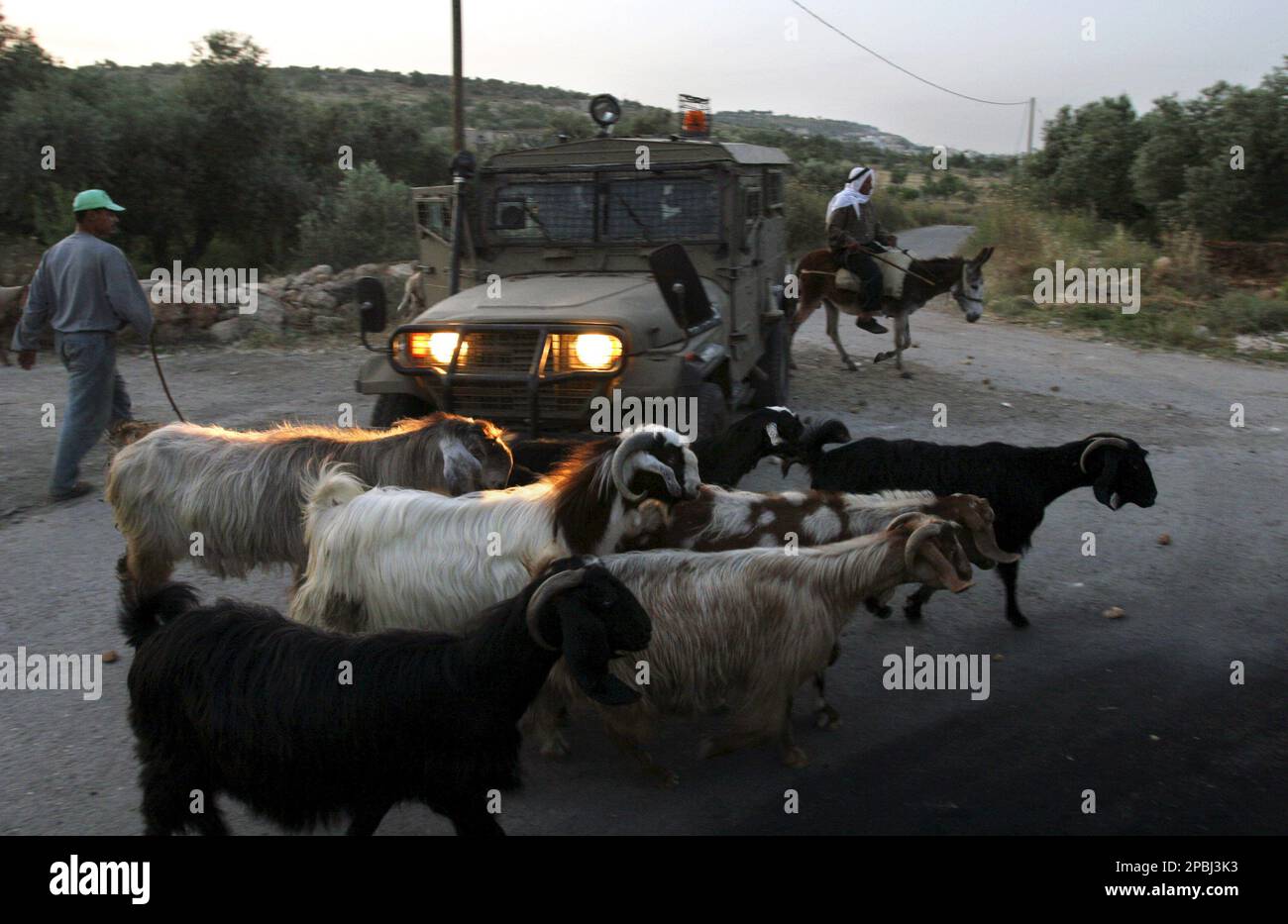 Palestinian goat herders walk past an Israeli army jeep during a ...