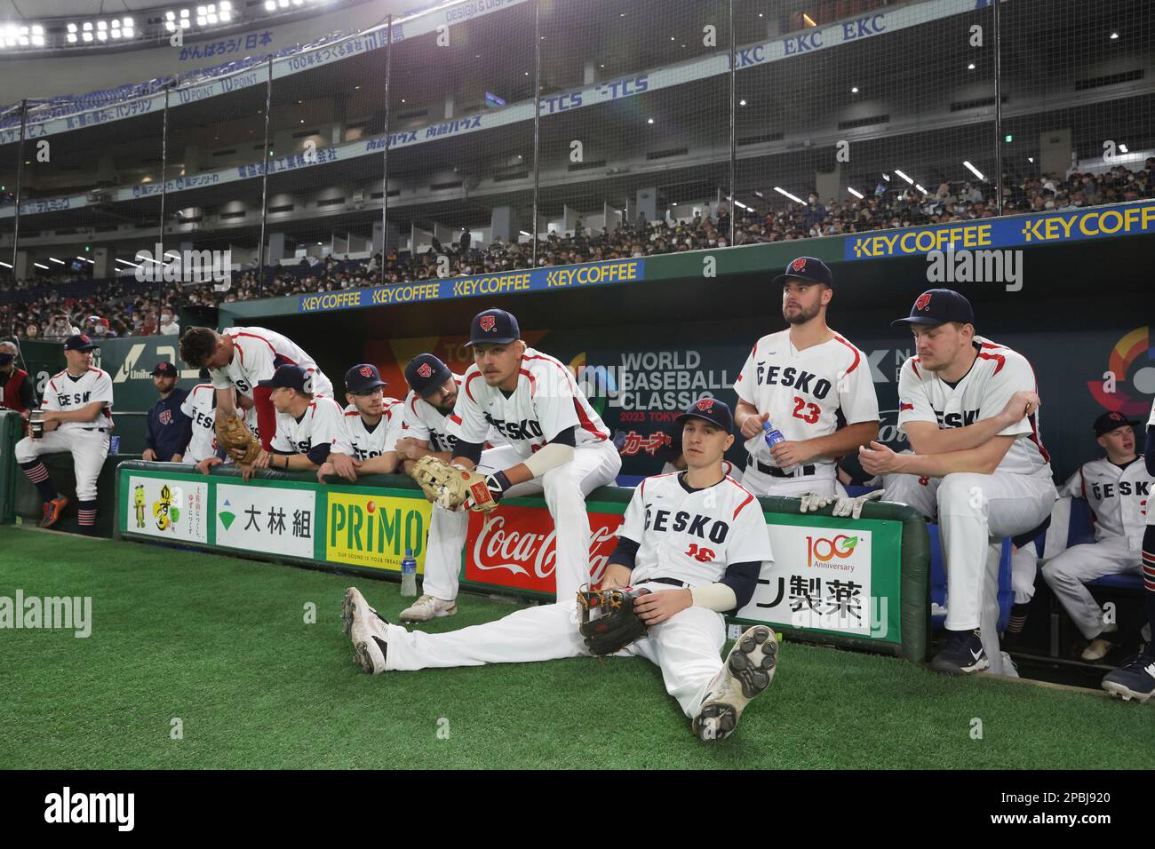 Czech Republic's players are pictured ahead of the World Baseball ...