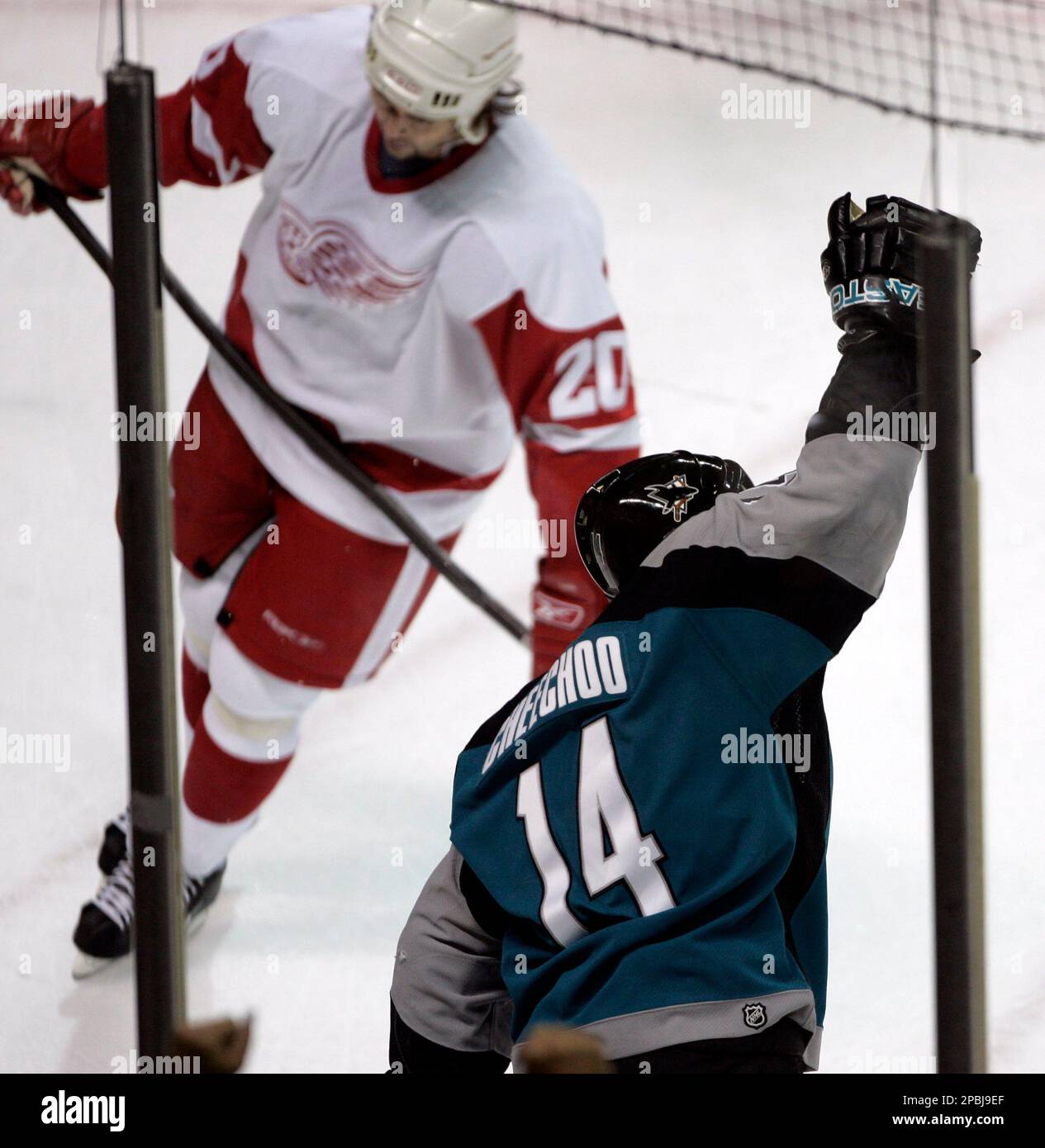 San Jose Sharks right wing Jonathan Cheechoo (14) celebrates in front ...