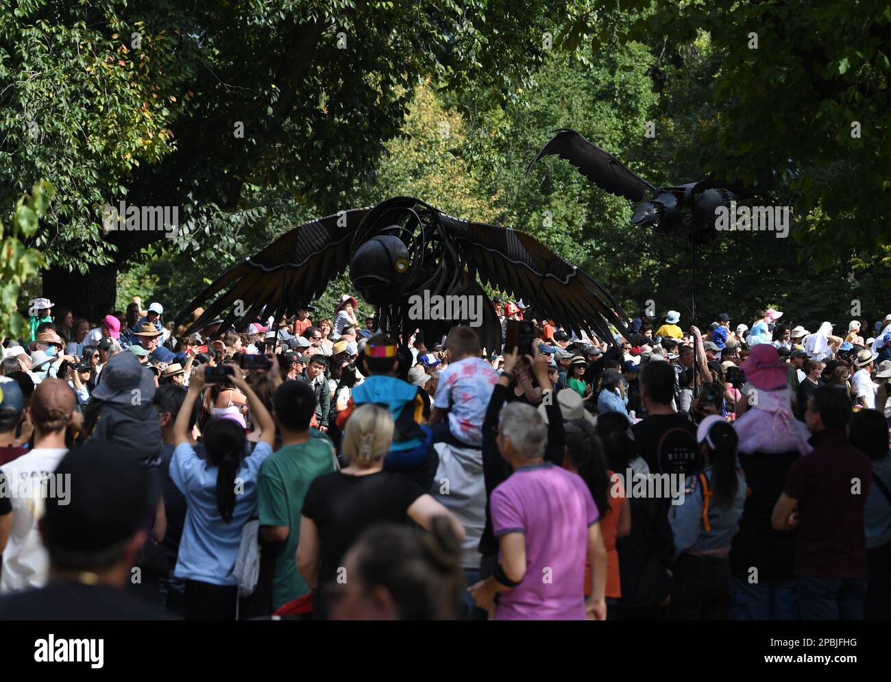 Bunjil (weed-tail eagle) and Waa (raven) are puppets are seen during ...