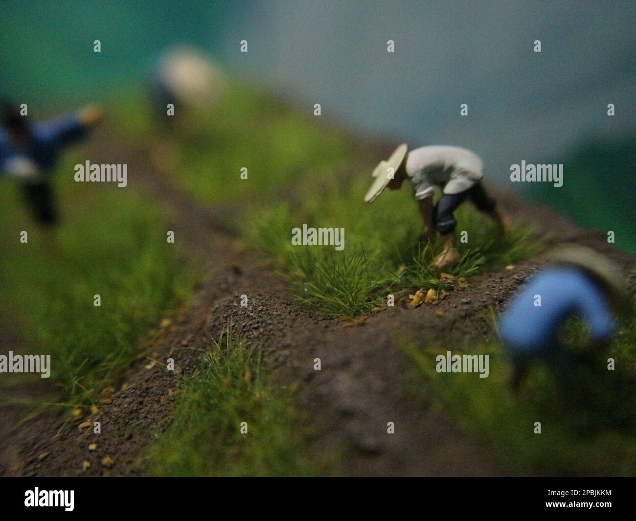 a close up of miniature figures of farmers planting rice. Farming photo ...
