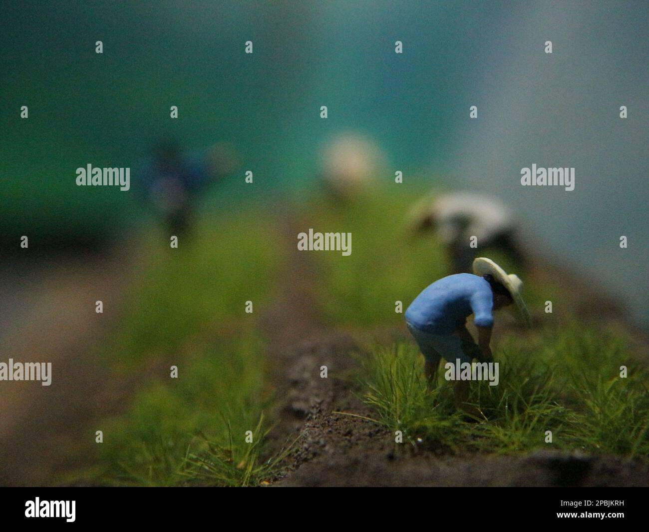 a close up of miniature figures of farmers planting rice. Farming photo ...