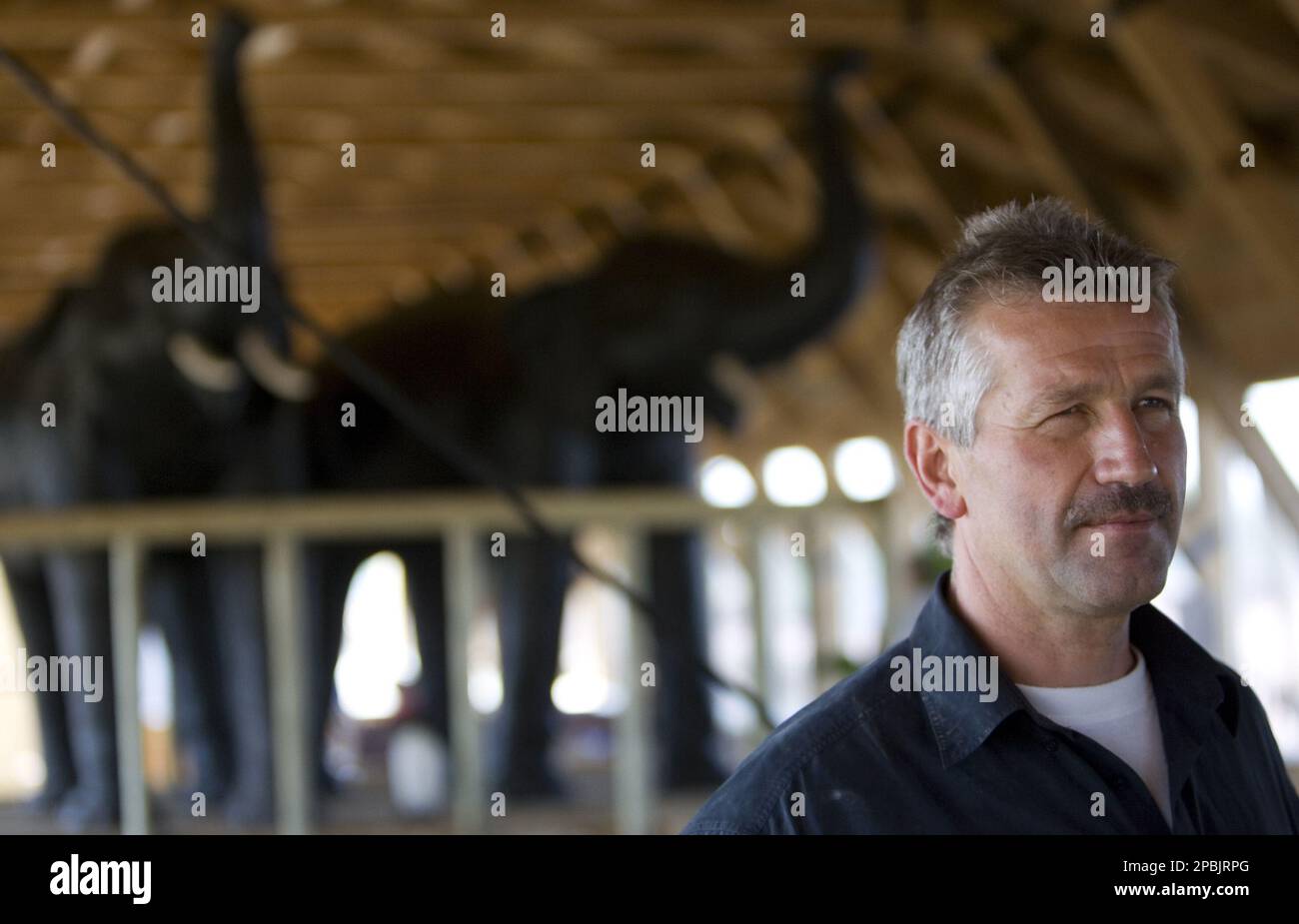 A pair of model elephants trumpet in the background as Johan Huibers ...