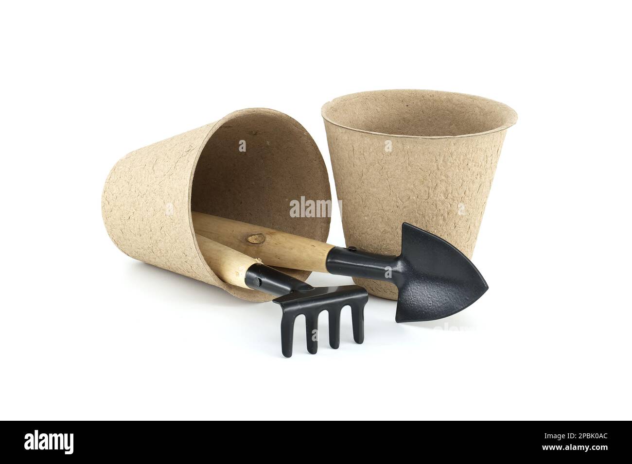 Round plant & seed starter peat pots for planting isolated on white ...