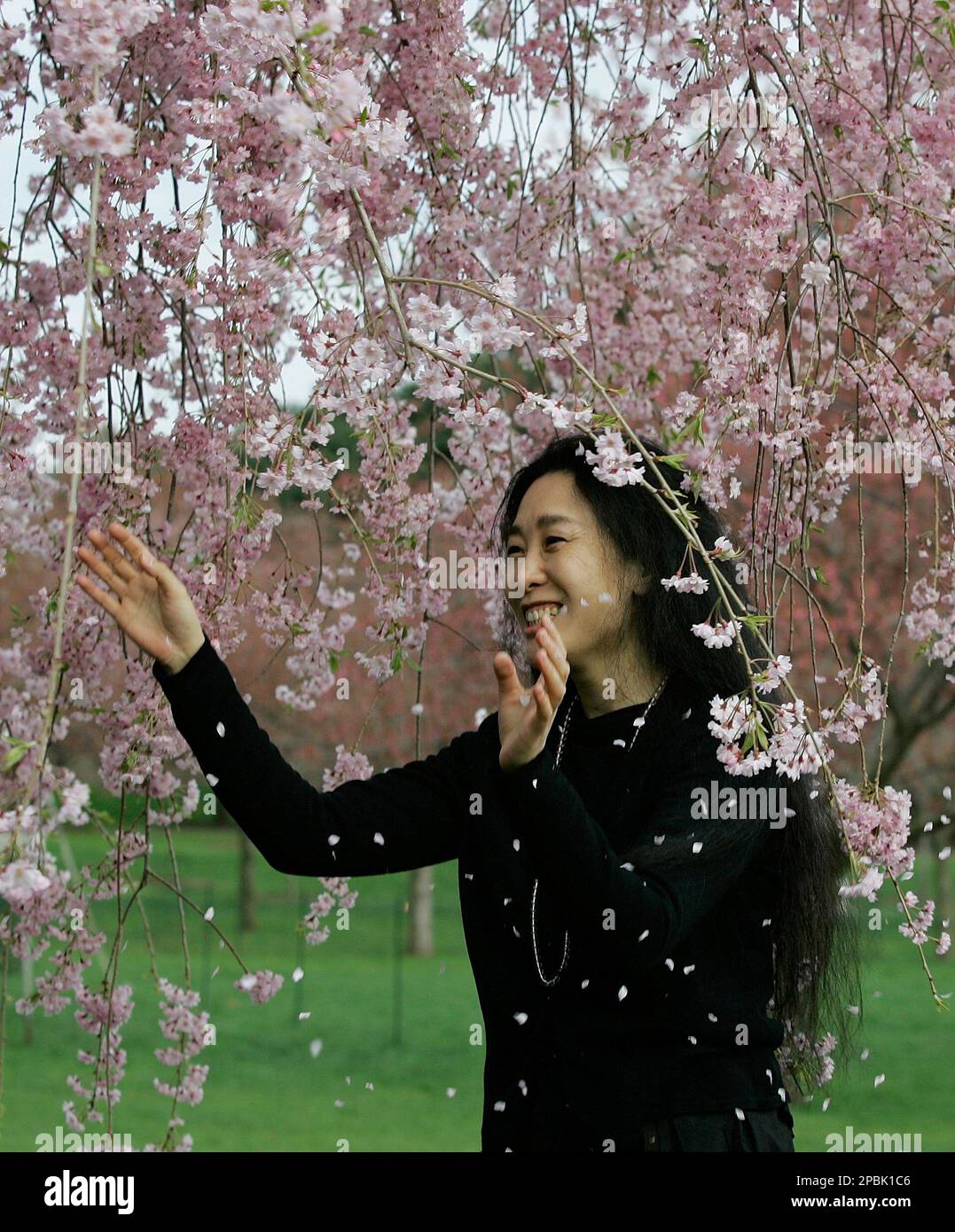 Dodo Jin Ming, a Chinese-born photographer who works and lives in New ...