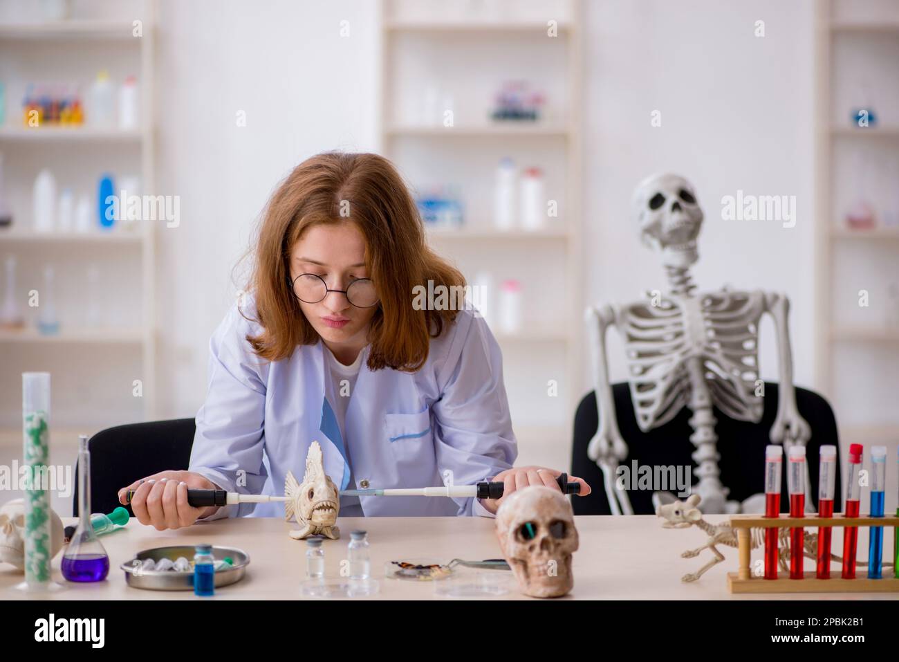 Young female zoologist working at the laboratory Stock Photo - Alamy
