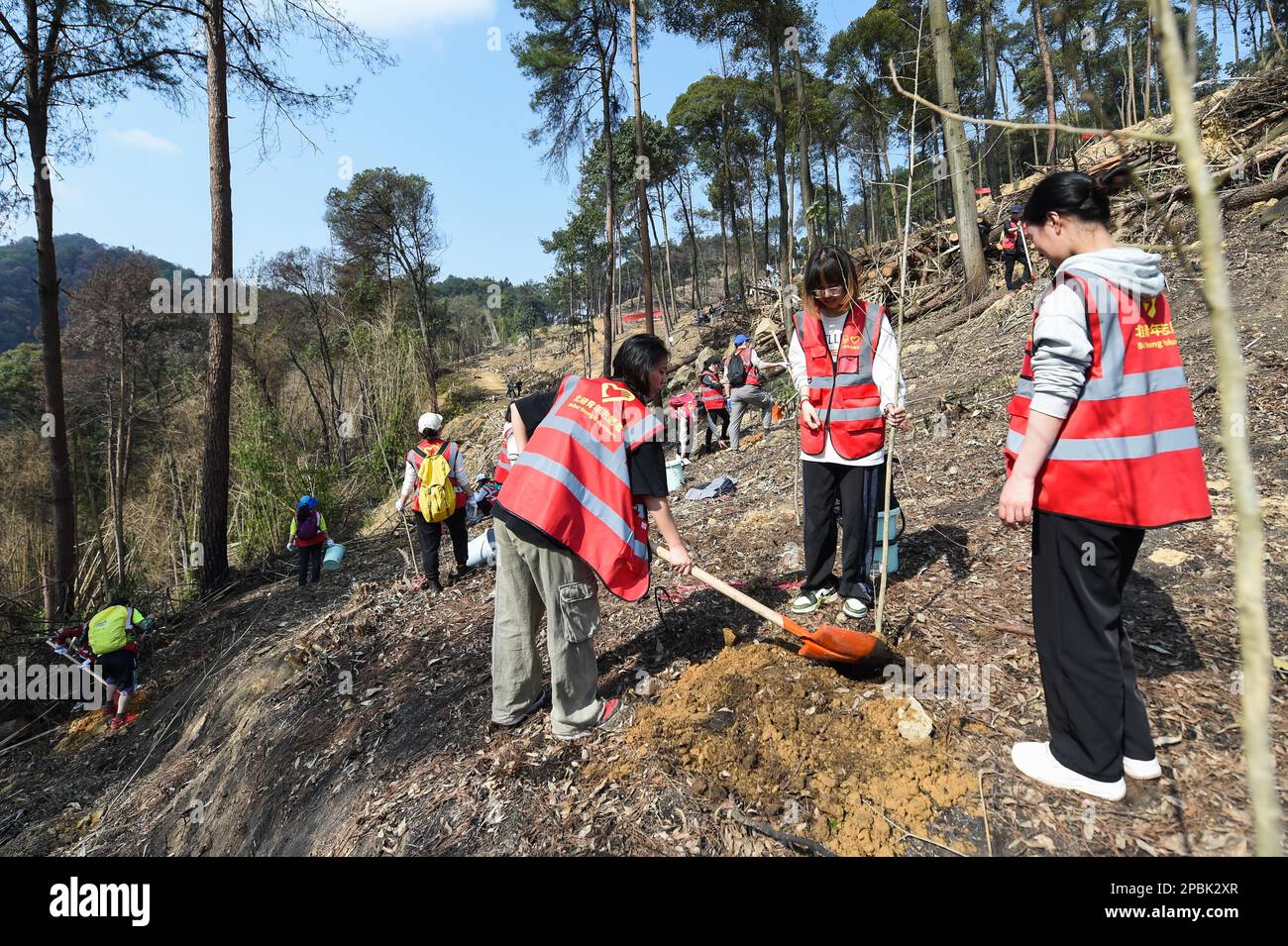 **CHINESE MAINLAND, HONG KONG, MACAU AND TAIWAN OUT** Volunteers plant ...