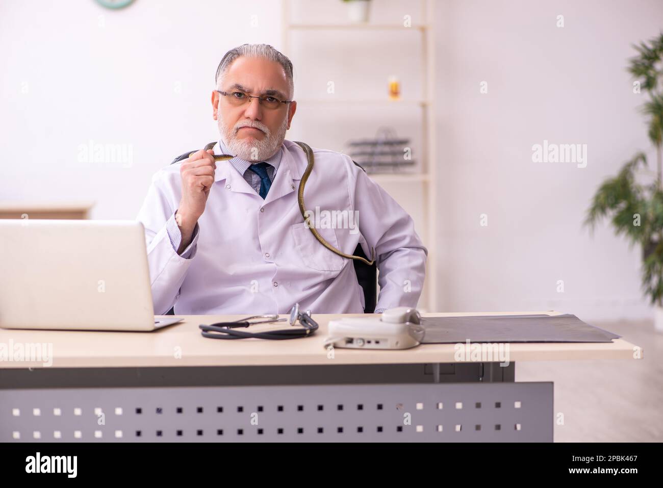 Aged male doctor holding snake at workplace Stock Photo - Alamy