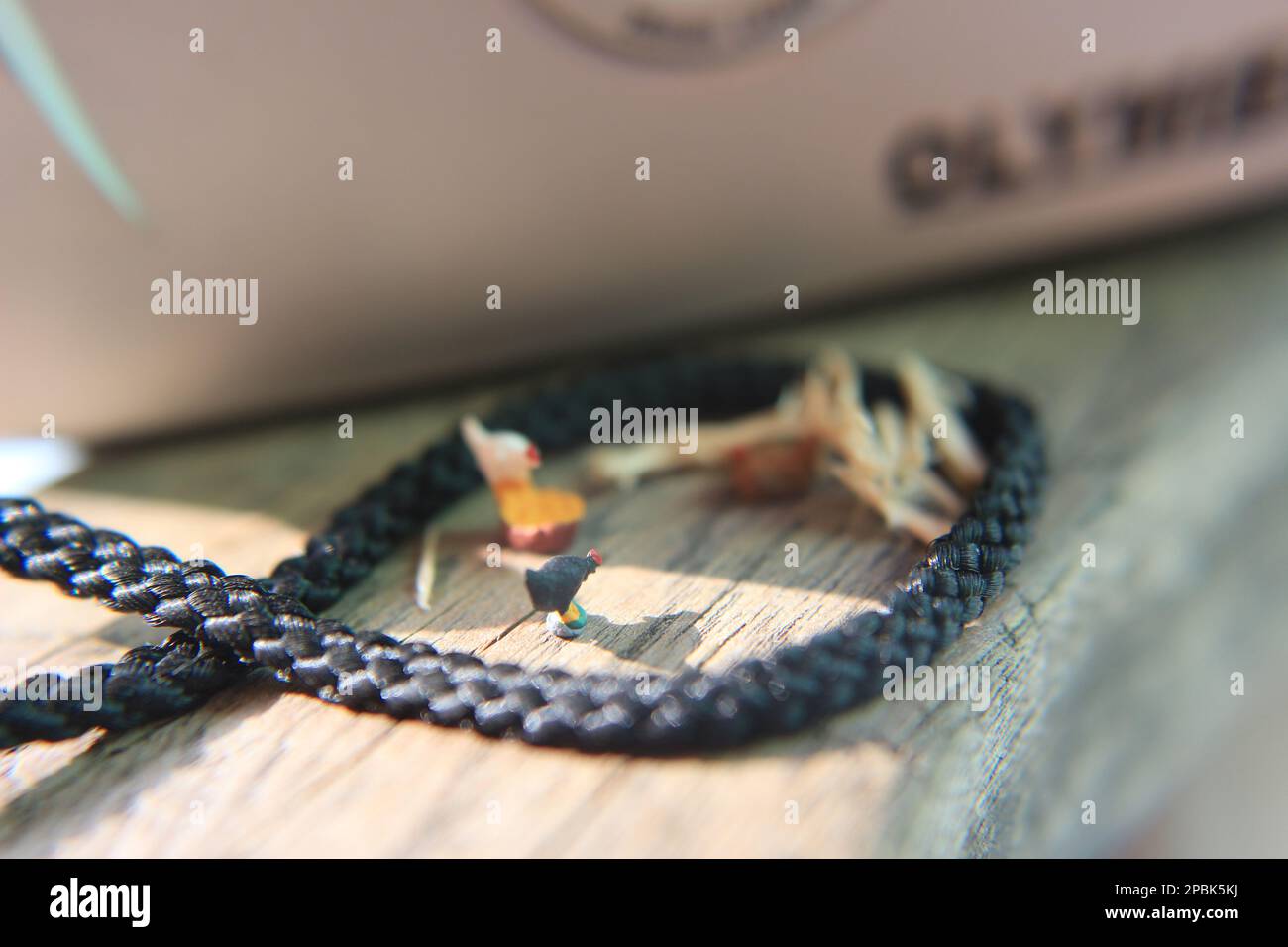 Angry chickens hi-res stock photography and images - Alamy