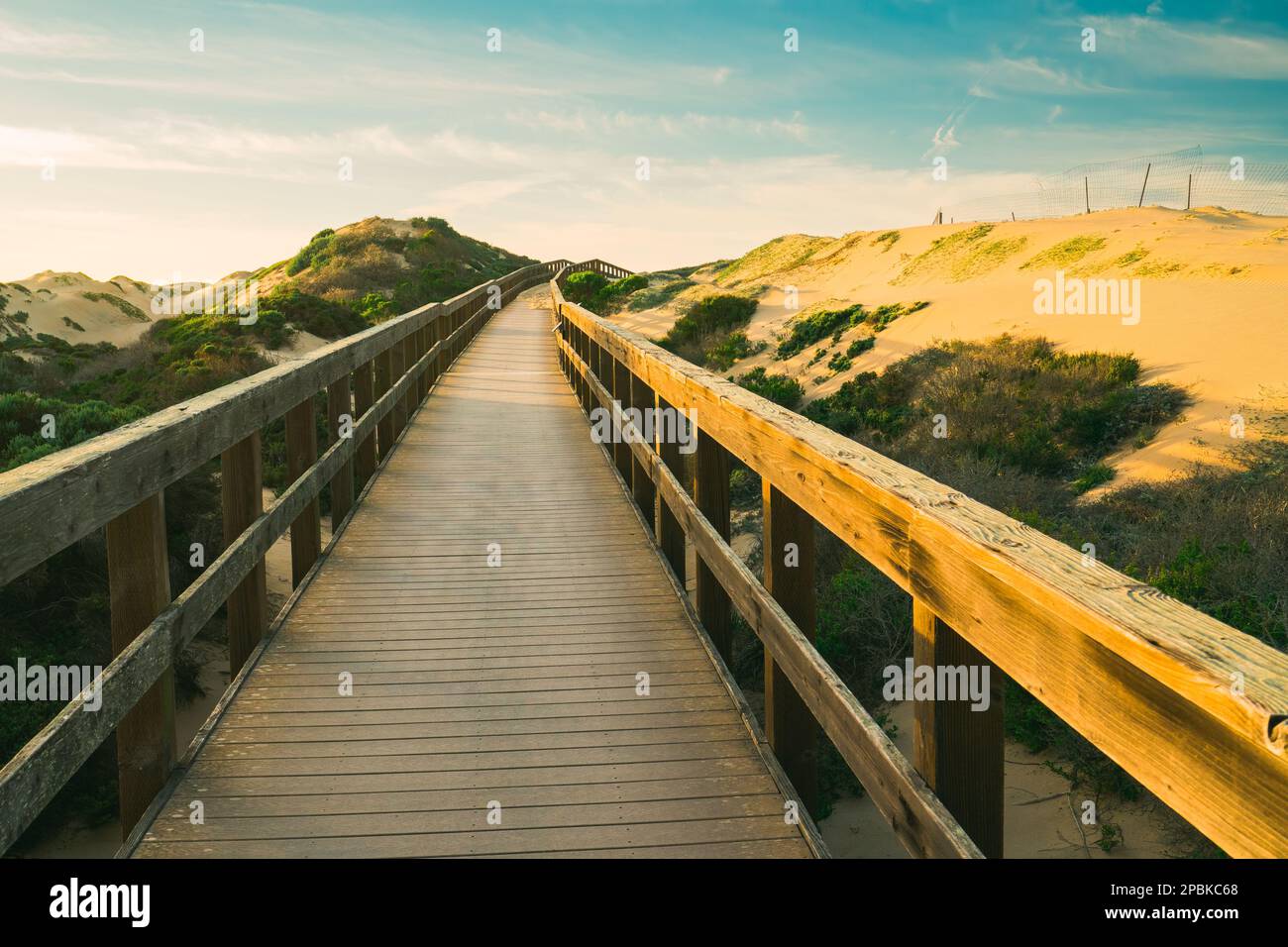 A long wooden boadwalk seems to stretch to infinity. Walkway through ...