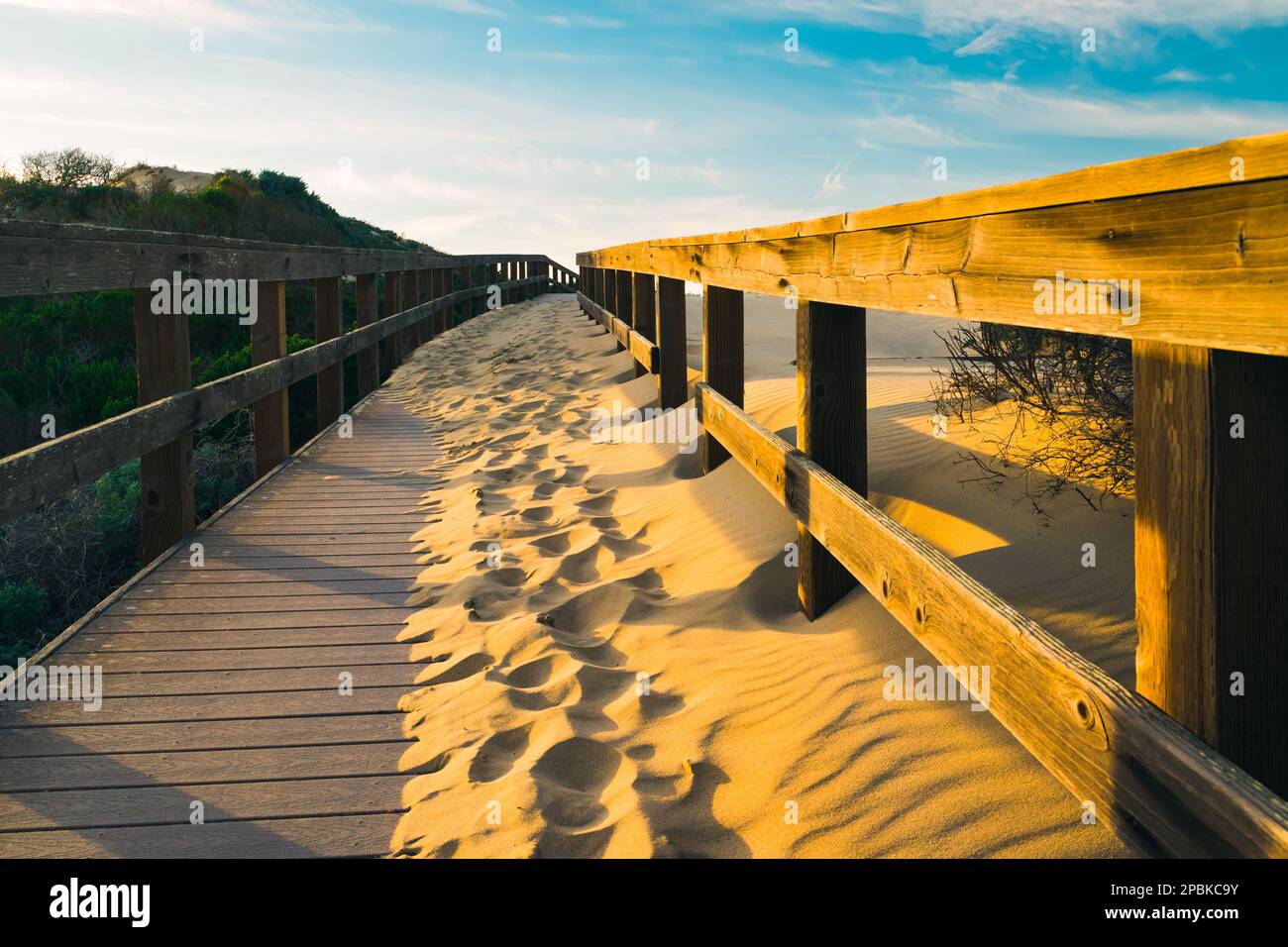Rustic wooden boardwalk through sand dunes and native forest leading to ...
