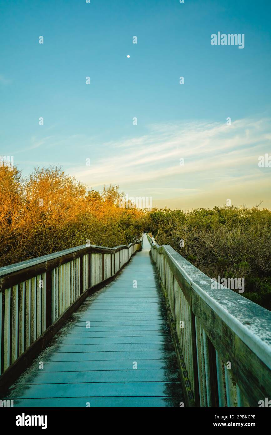 Boadwalk hi-res stock photography and images - Alamy