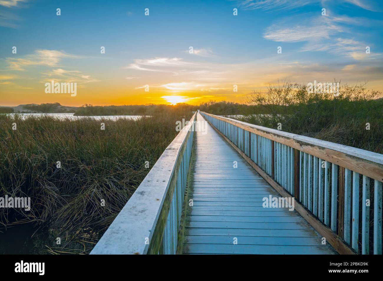 Rustic wood beach boardwalk through the lake. Oso Flaco Lake Natural ...