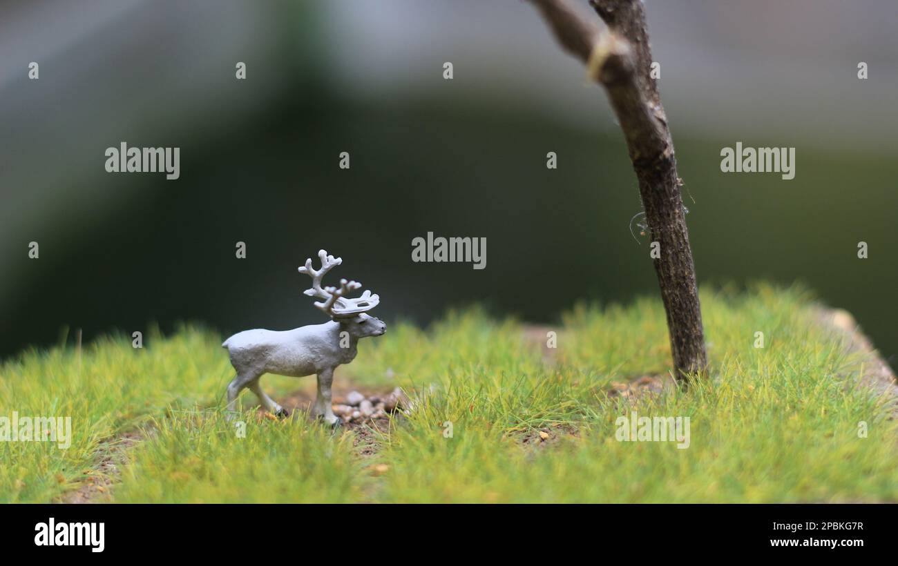 Grassland Ecosystem Diorama