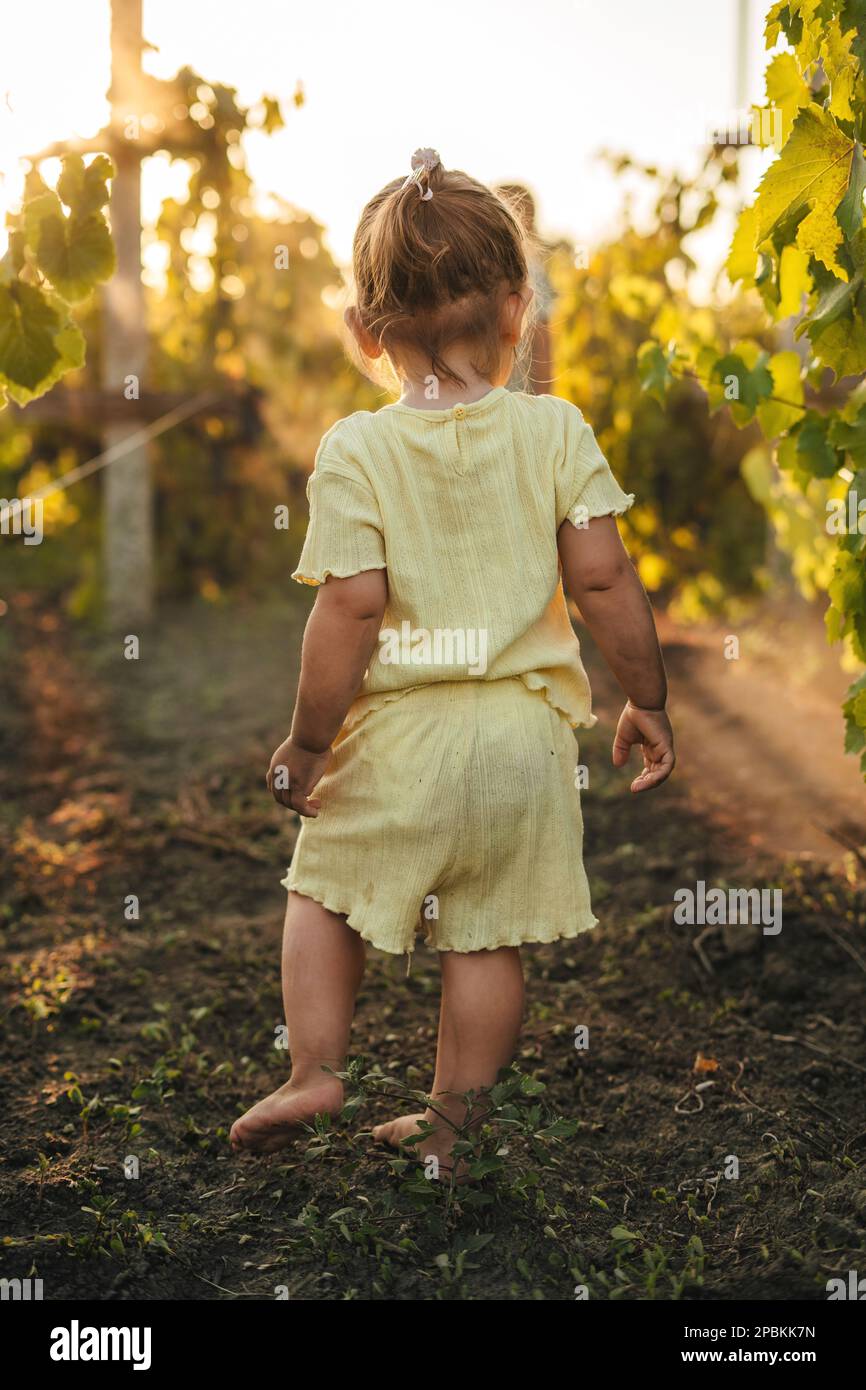 Vertical back view portrait of cute caucasian little girl walking and ...