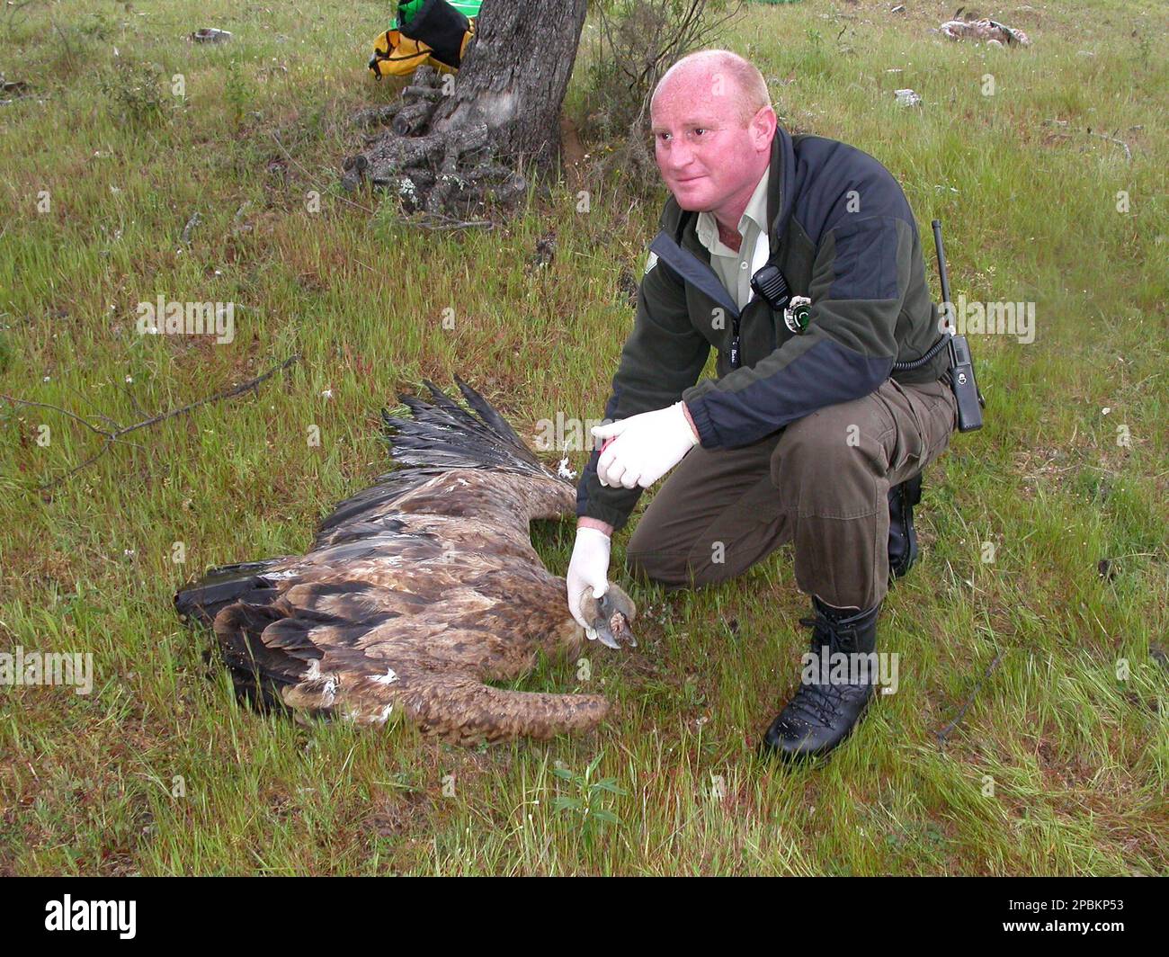 In this photo made available by the Andalusian regional government ...