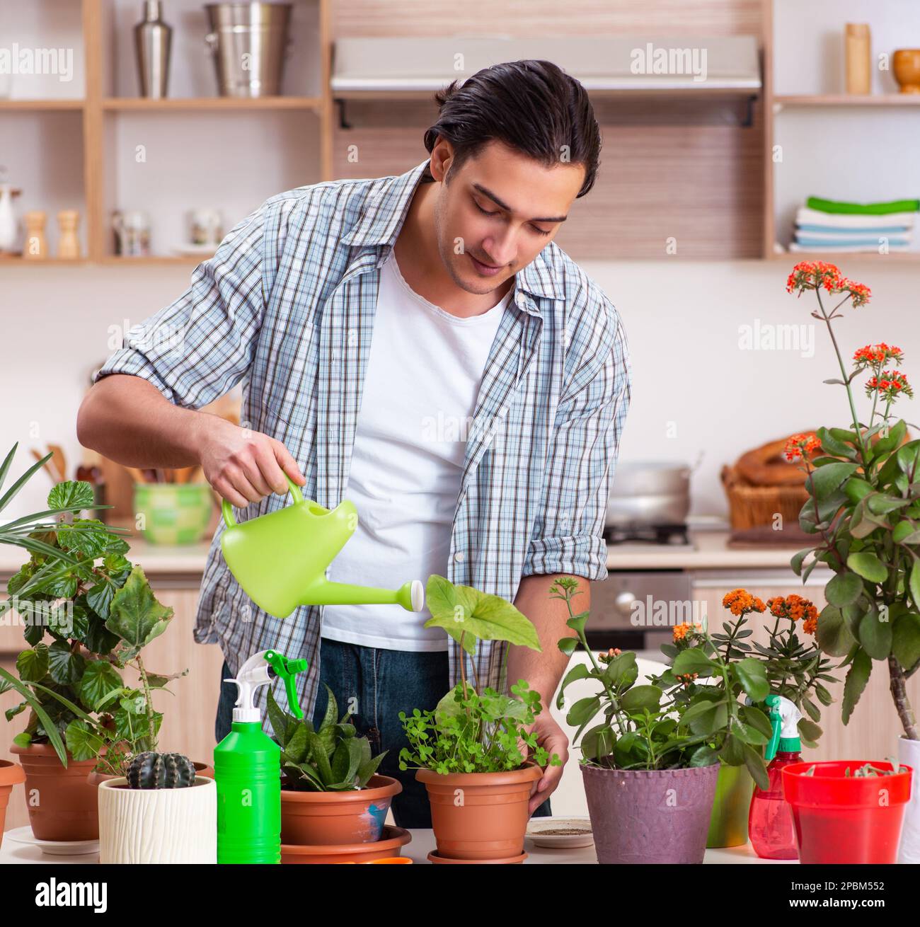 The young handsome man cultivating flowers at home Stock Photo - Alamy