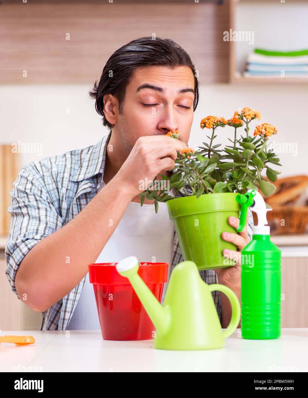 The young handsome man cultivating flowers at home Stock Photo - Alamy