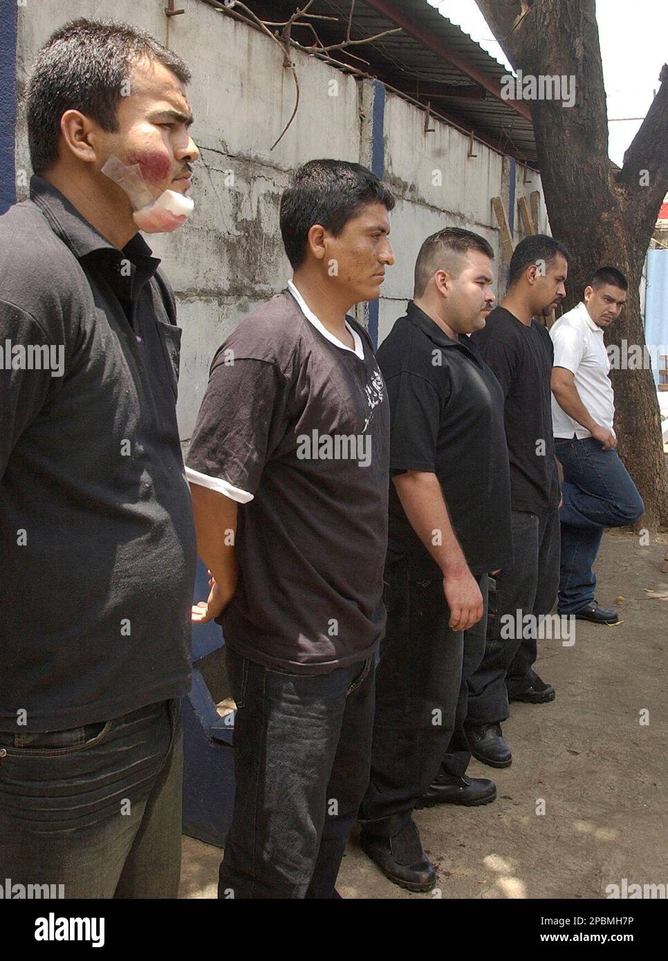 Sinaloa Cartel Members