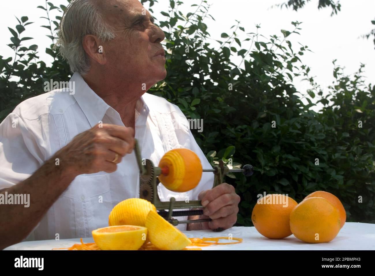 ELDERLY CUBAN MAN PEELING ORANGES MIAMI FLORIDA USA Stock Photo - Alamy