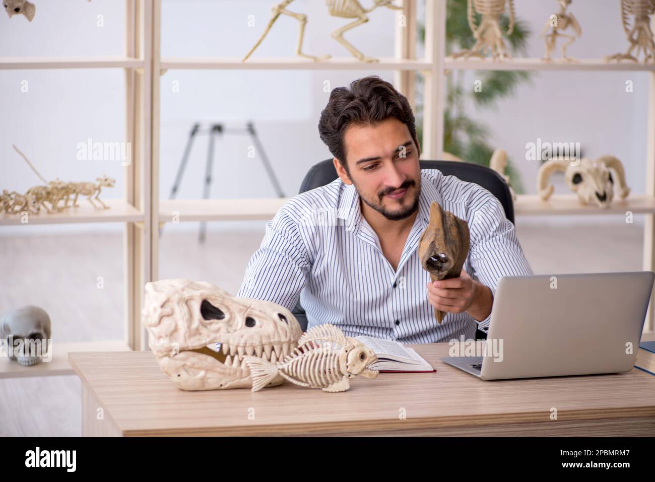 Young paleontologist examining ancient animals at lab Stock Photo - Alamy