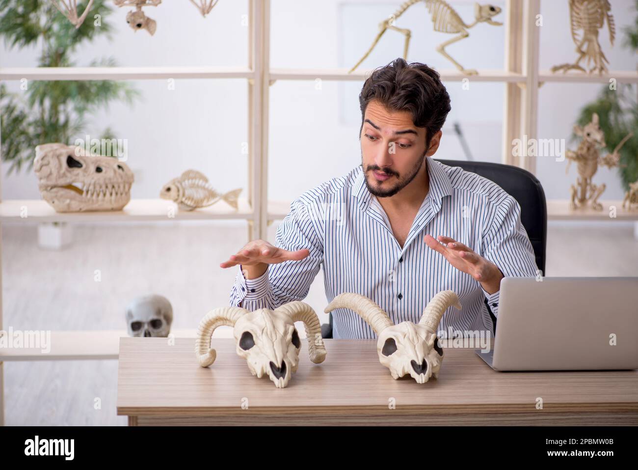 Young paleontologist examining ancient animals at lab Stock Photo - Alamy