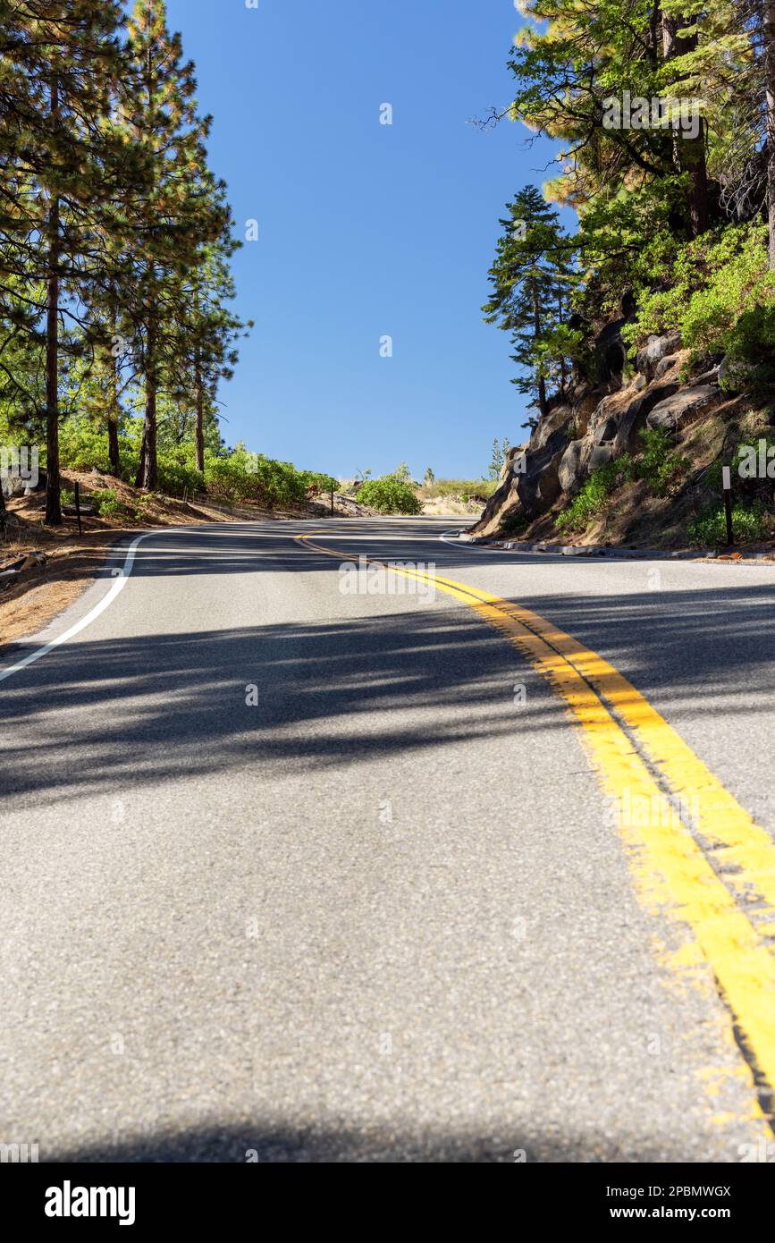 Asphalt curve road through forest. Yosemite national park, California ...