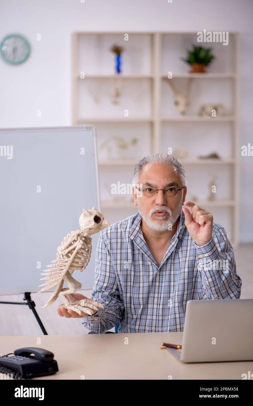 Old paleontologist examining ancient animals at lab Stock Photo - Alamy
