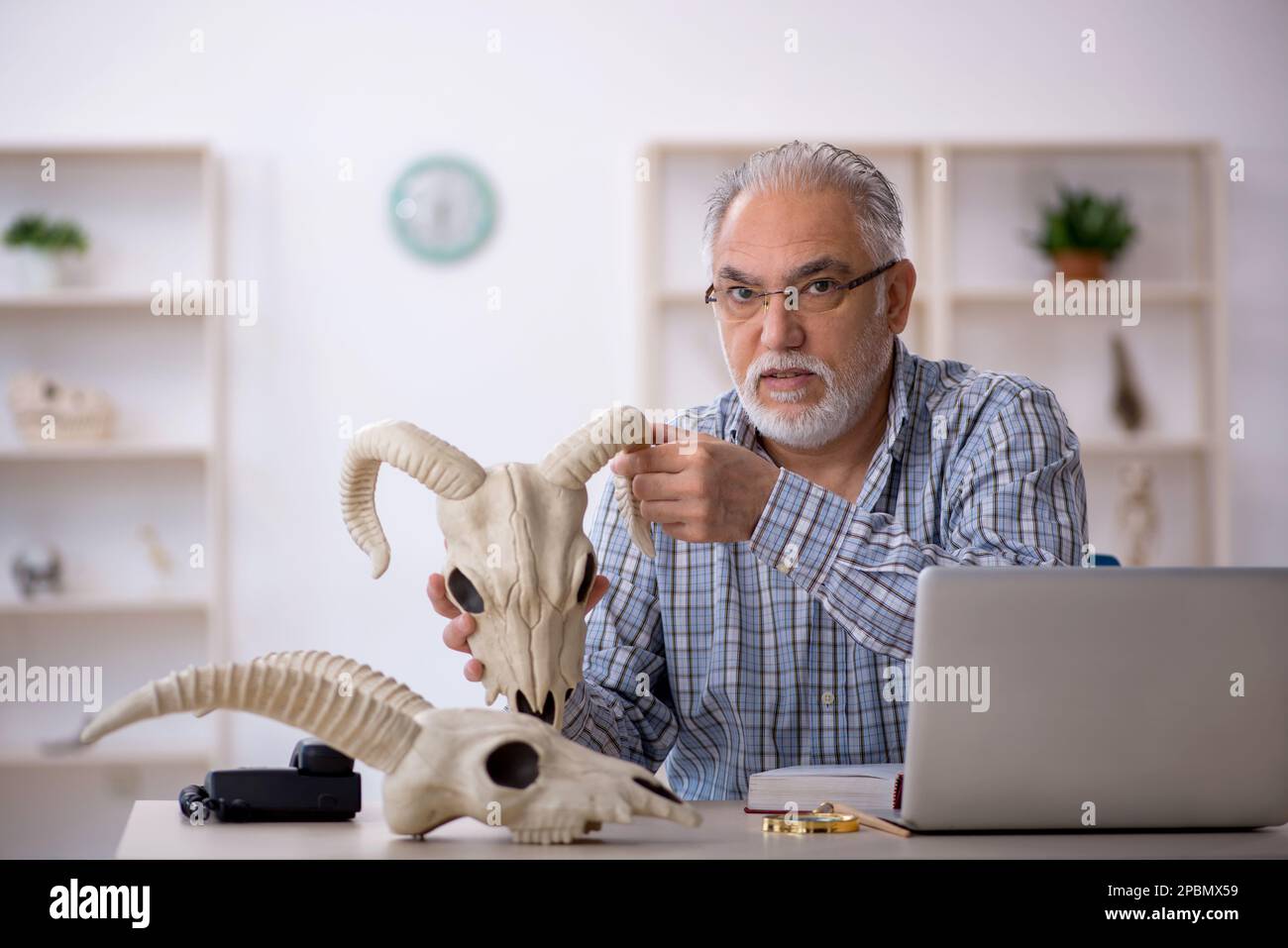 Old paleontologist examining ancient animals at lab Stock Photo - Alamy
