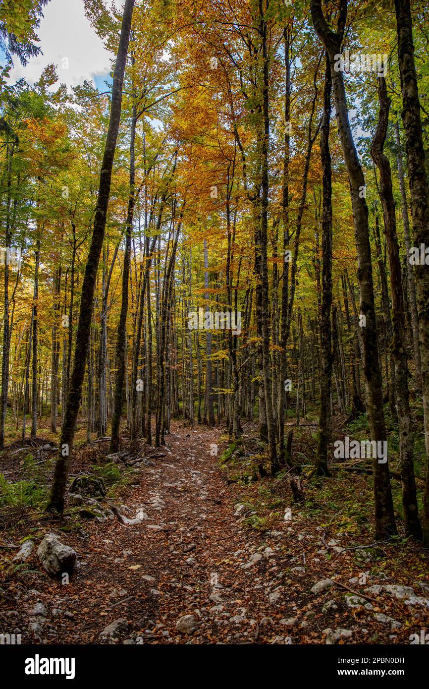 Mountain path in high mountains Stock Photo - Alamy
