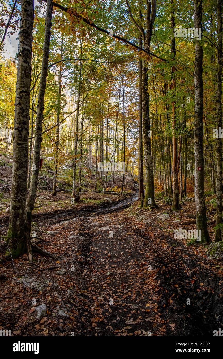 Mountain path in high mountains Stock Photo - Alamy