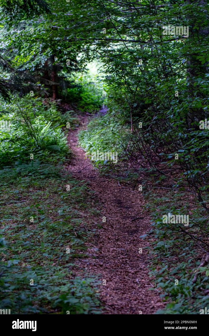 Mountain path in high mountains Stock Photo - Alamy