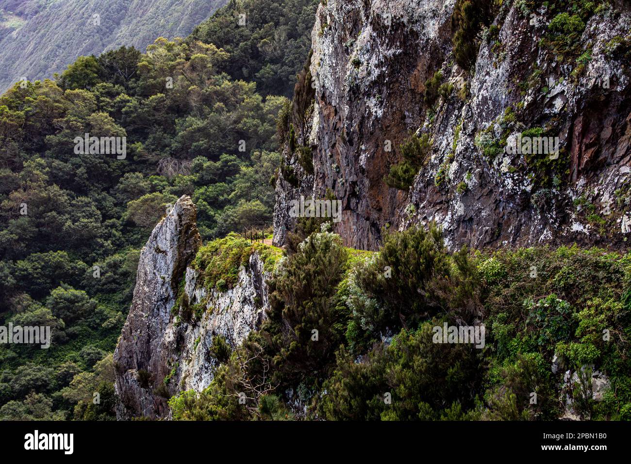 Mountain path in high mountains Stock Photo - Alamy