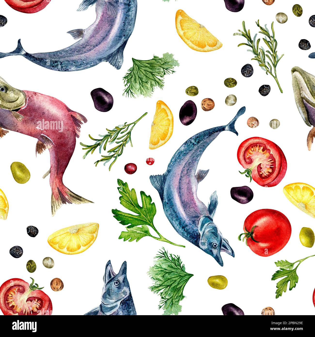Chum alaska Cut Out Stock Images & Pictures - Alamy