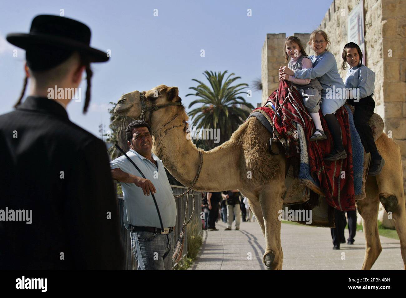 An Arab man takes Ultra-orthodox Jewish children for a ride on a camel ...