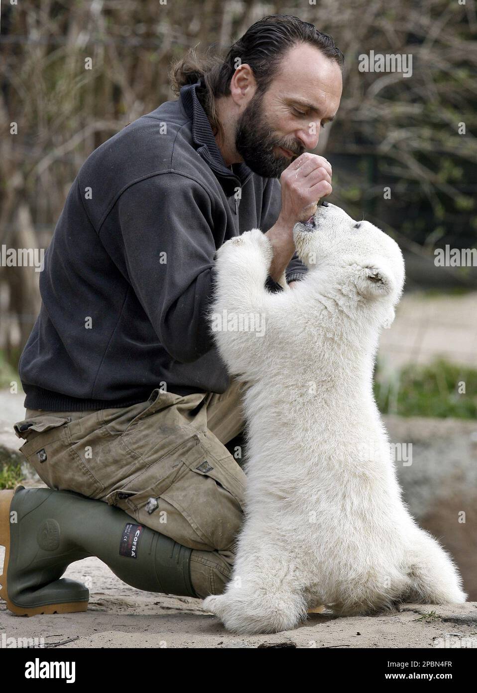 Eisbaer Knut spielt am Sonntag, 8. April 2007, im Zoo in Berlin mit ...