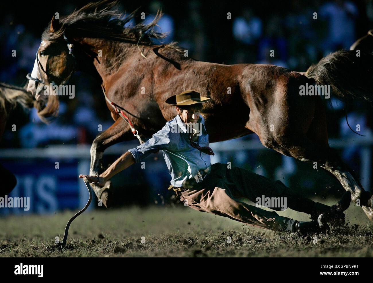 ** TO GO WITH URUGUAY RODEO ** A cowboy falls from his horse during a ...