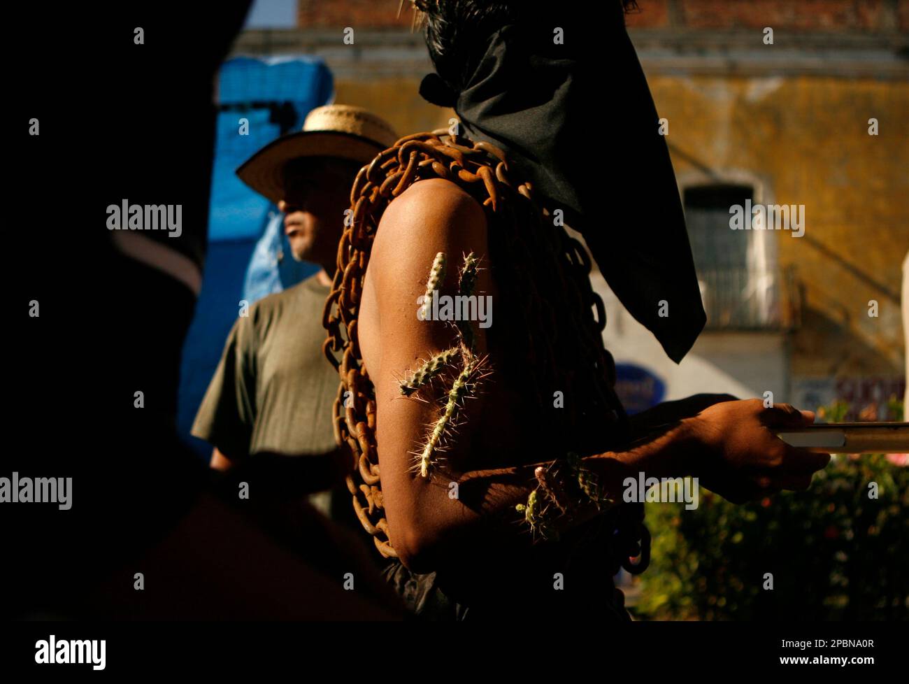 A penitent wearing heavy chains and cactus stuck to his skin walks ...
