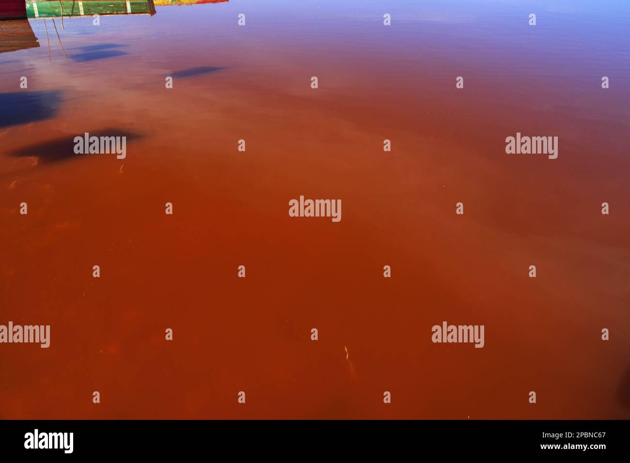 Lake Retba, Lac rose close Dakar, Senegal, West Africa Stock Photo - Alamy