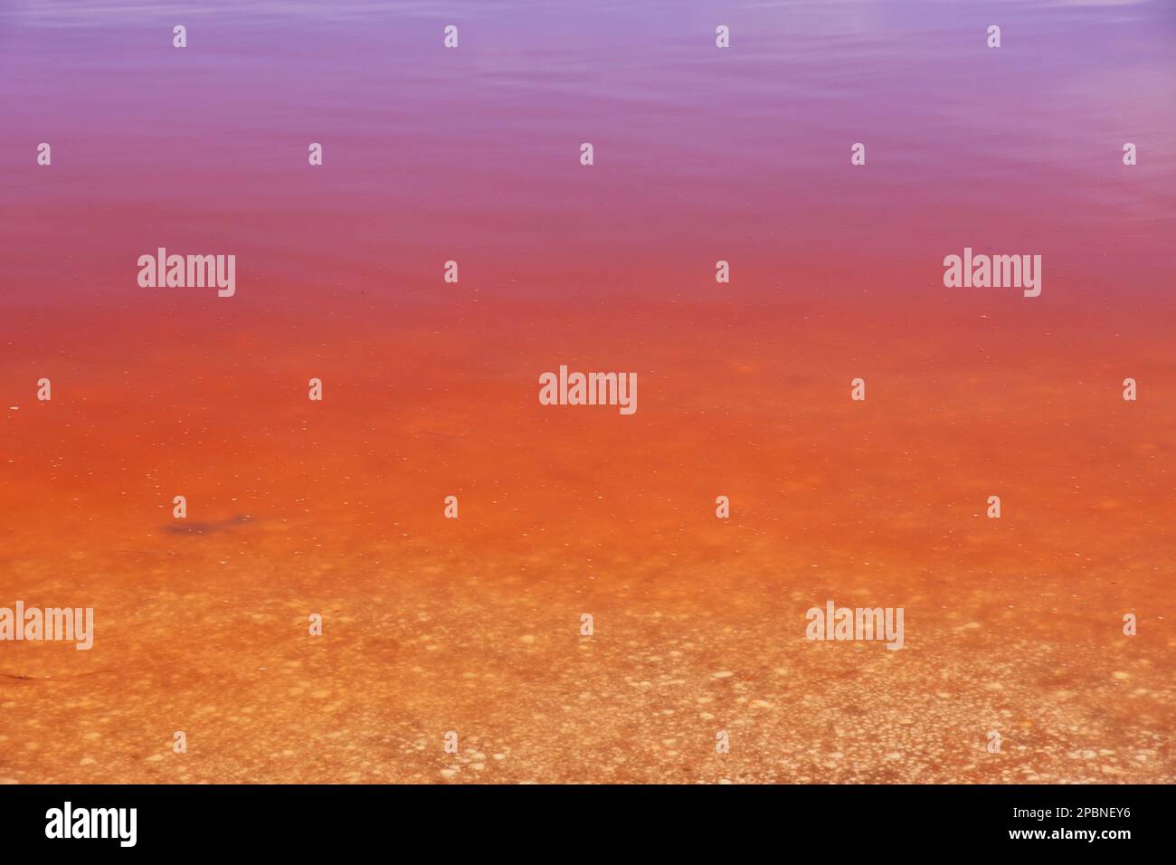 Lake Retba, Lac rose close Dakar, Senegal, West Africa Stock Photo - Alamy