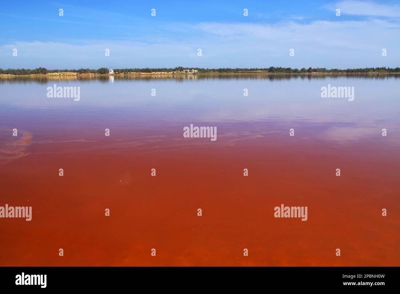 Lake Retba, Lac rose close Dakar, Senegal, West Africa Stock Photo - Alamy