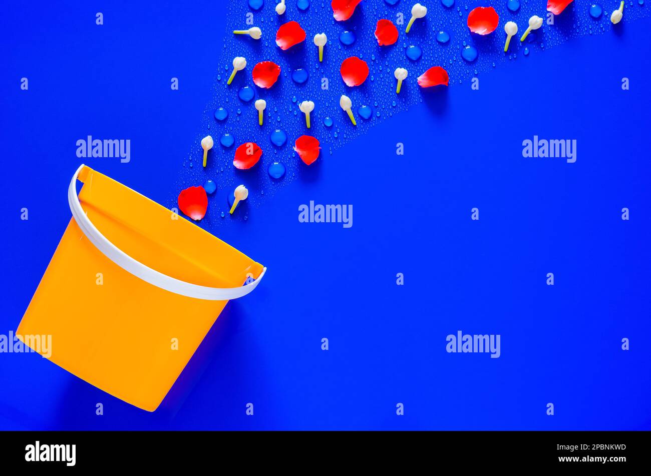 Yellow bucket splash out with water drop, jasmine and rose petal flower ...
