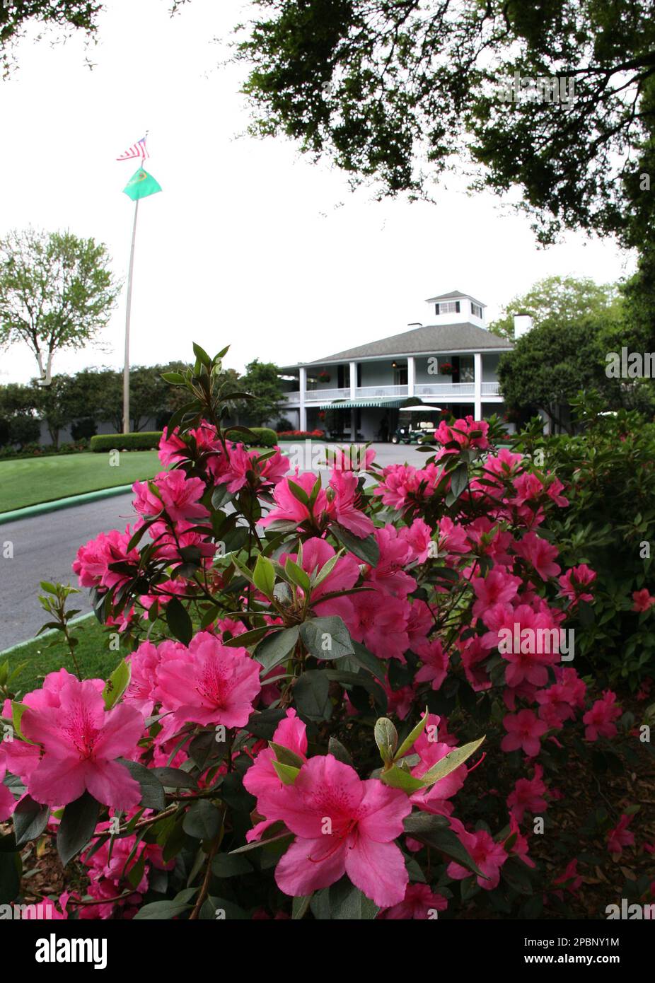 Azaleas grace the entrance to the clubhouse at the Augusta National ...