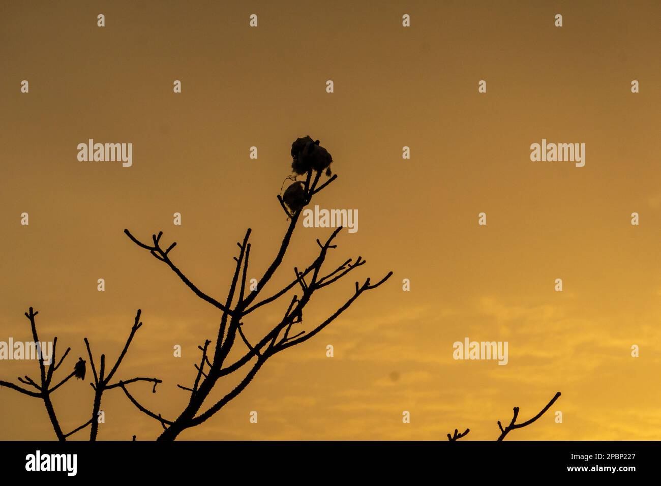 Beautiful sunrise view. Clouds on one side and the sun rising over the ...