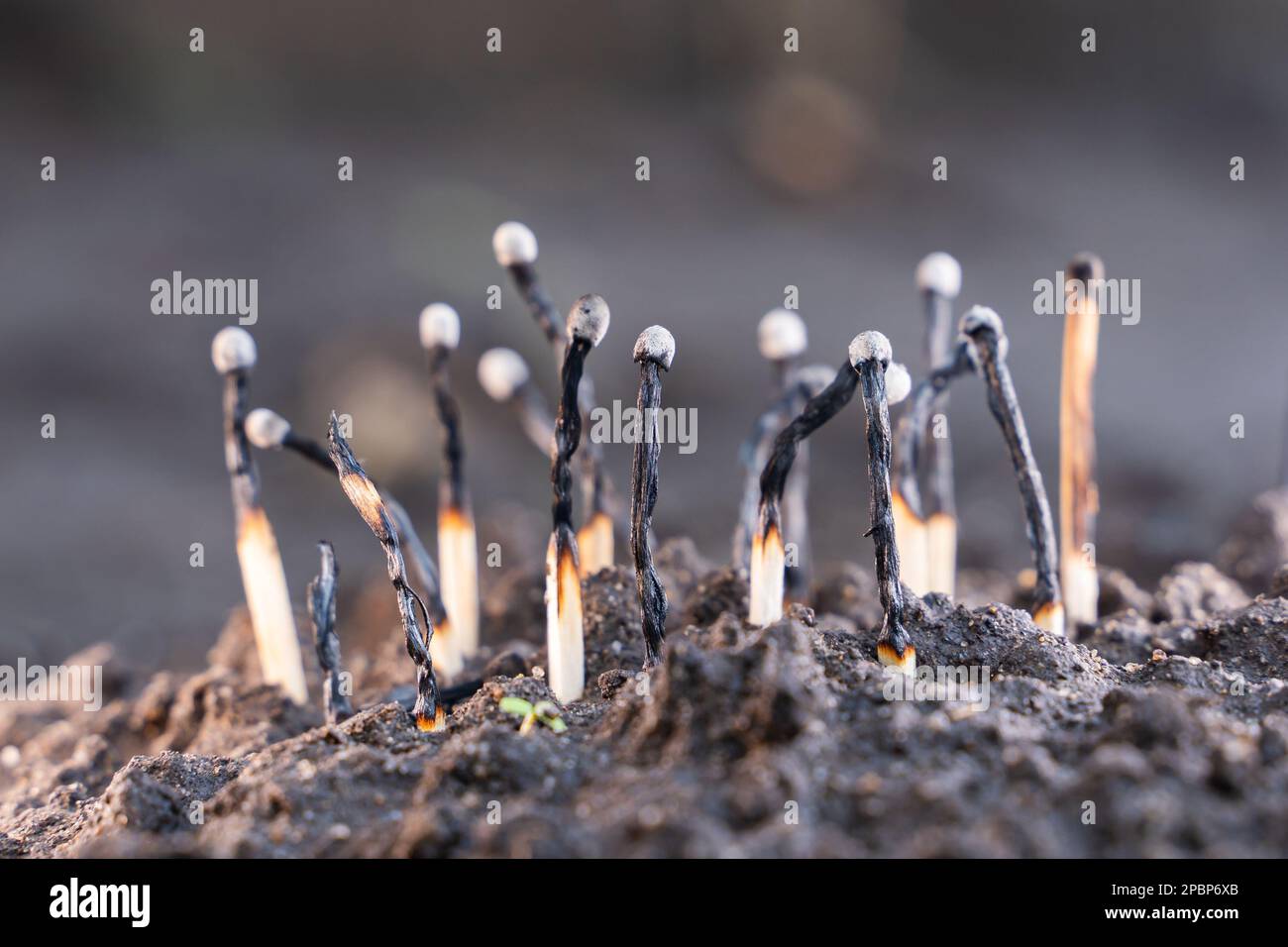 The problem of heating in the cold season and the extraction of ...