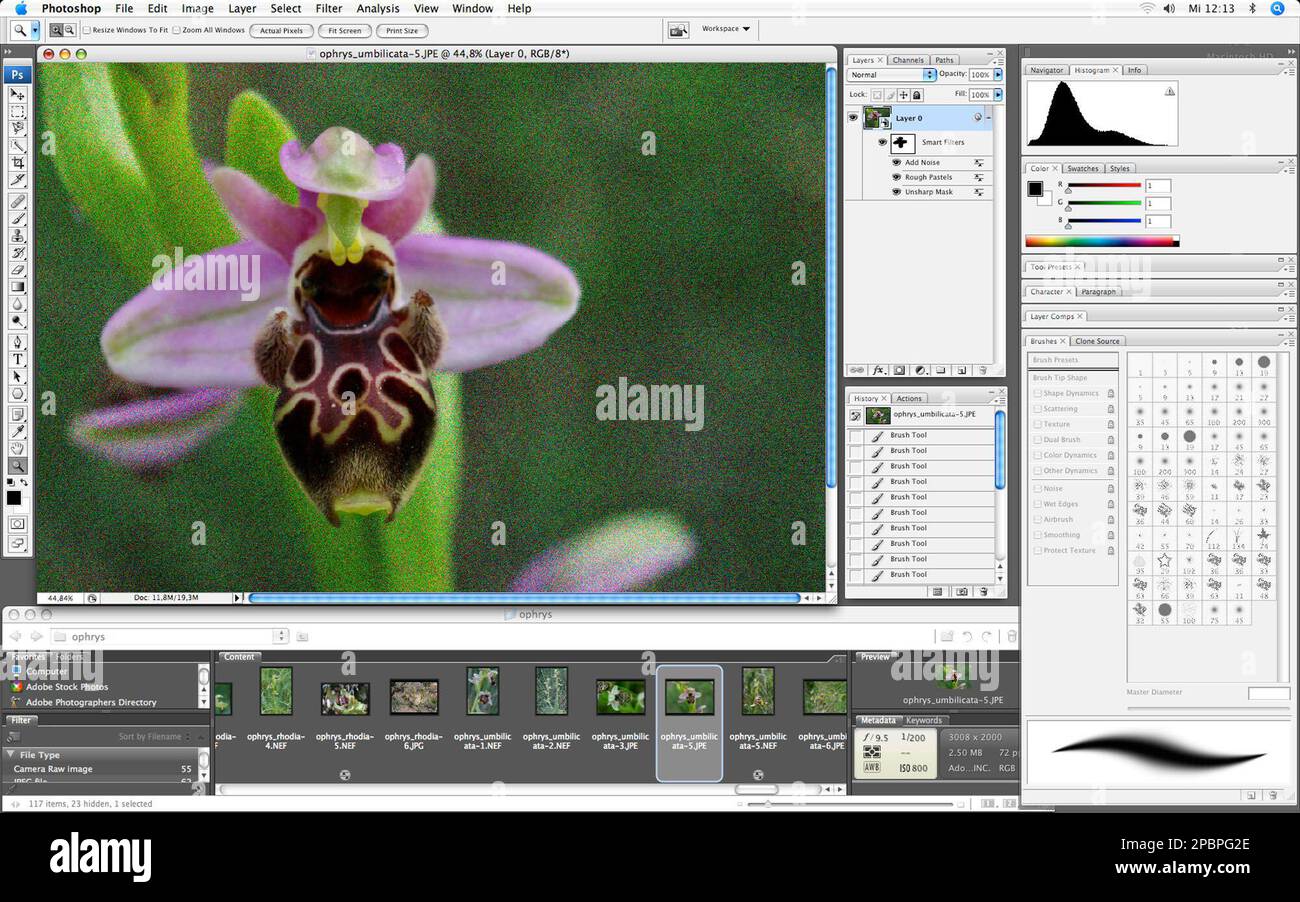 Der undatierte Screenshot zeigt die Oberflaeche des neuen Adobe ...
