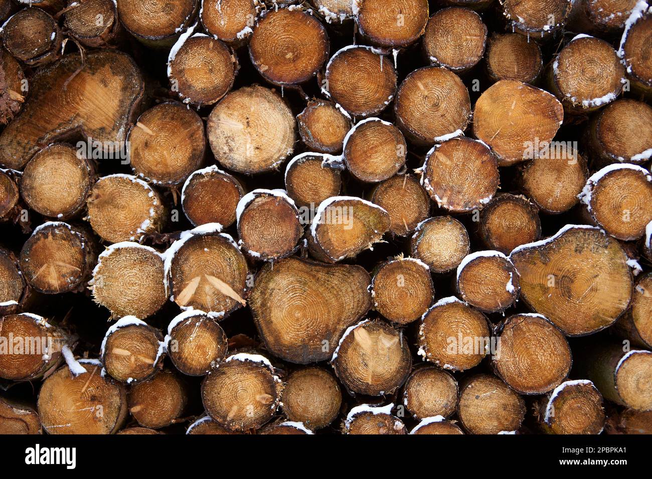 Wood pile side view hi-res stock photography and images - Alamy