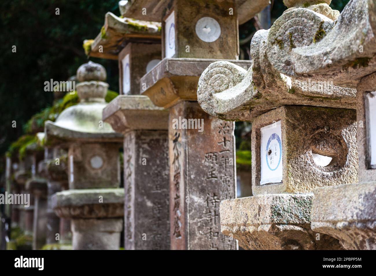 Nara, Japan - January 5, 2020.Exterior shot of Nara Park. Nara is a ...