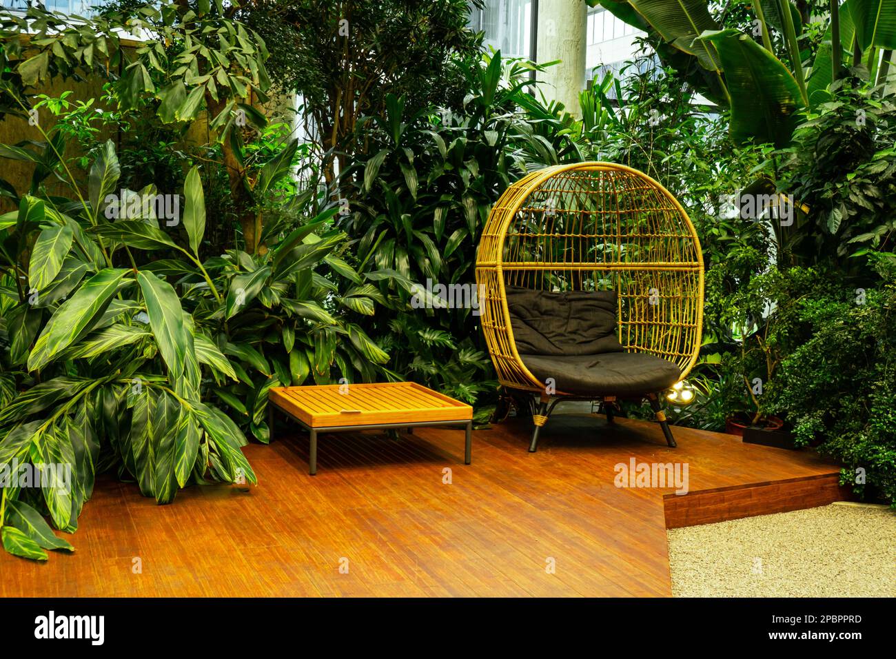 Green plants in botanical garden. Fresh natural background. Greenery ...